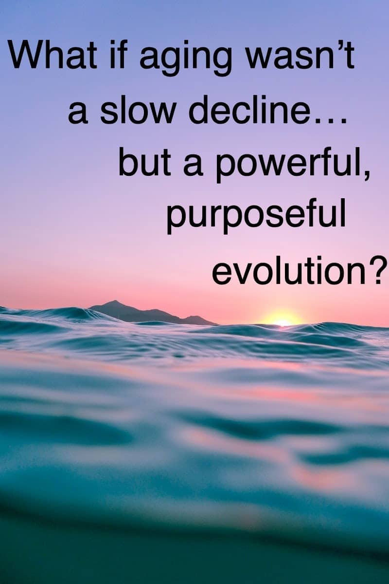 Why We’ve Been Taught to Separate Mind from Body And How It’s Costing ...